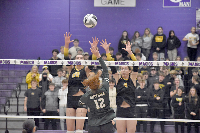 Crestview volleyball advances to regional final | News, Sports, Jobs ...